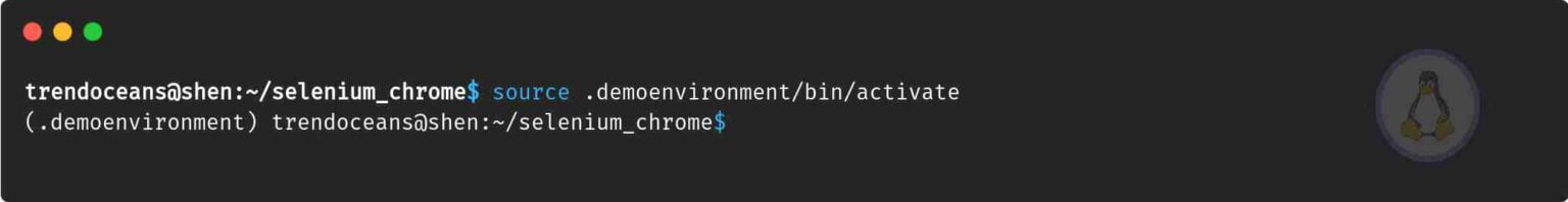 Install Selenium On Ubuntudebian With A Chromedriver For Python Trend Oceans 2305