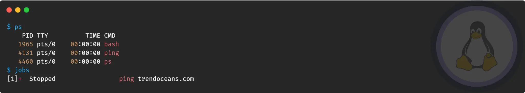 Interrupt or Suspend a Command Execution in Linux - TREND OCEANS