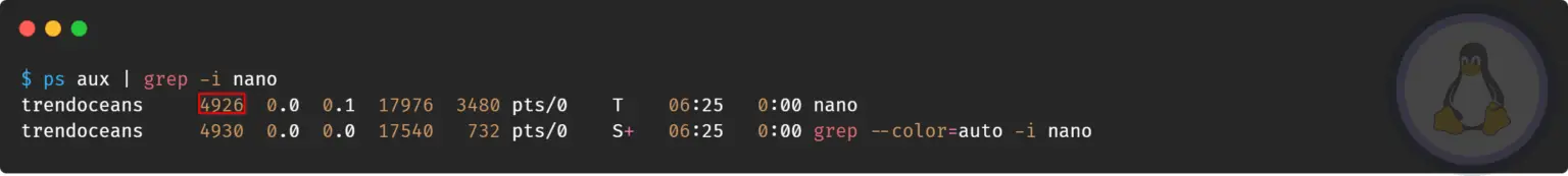 Interrupt or Suspend a Command Execution in Linux - TREND OCEANS