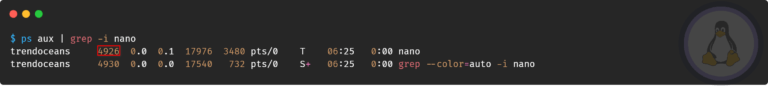 Interrupt Or Suspend A Command Execution In Linux Trend Oceans