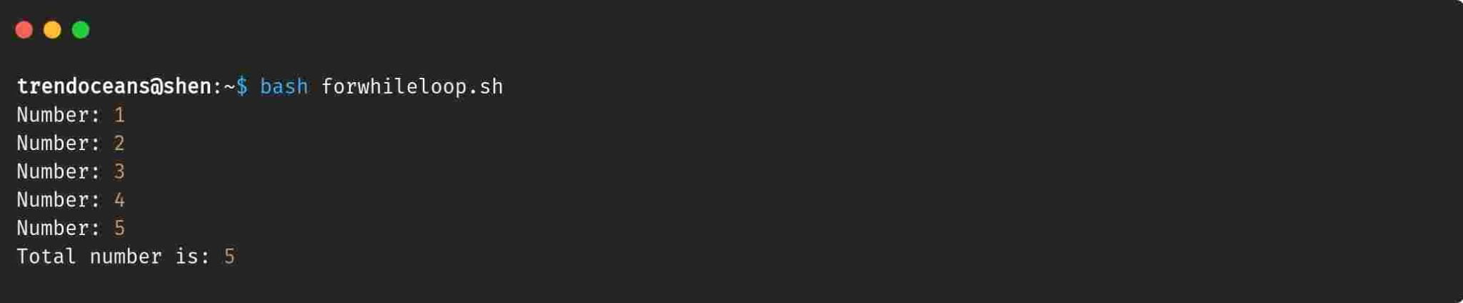 How to add or implement counter in bash scripting - TREND OCEANS