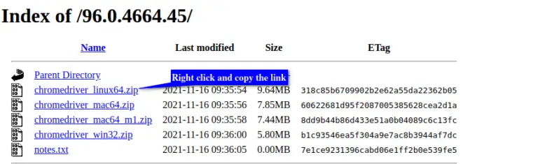 Install Selenium On Ubuntu Debian With A Chromedriver For Python Trend Oceans