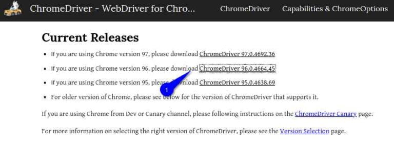 Install Selenium on Ubuntu/Debian with a ChromeDriver for Python ...