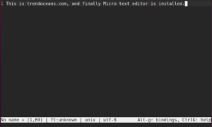 Micro: Modern and Intuitive Terminal-Based Text Editor - TREND OCEANS