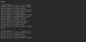 Download Linux distributions from a terminal using the OSGET utility ...
