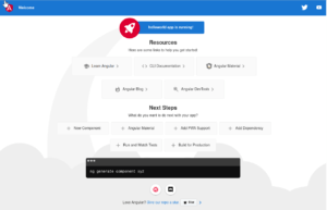How to Install Angular Js on Linux - TREND OCEANS