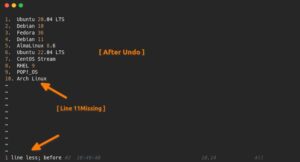 Undo and Redo Text in Vim Editor - TREND OCEANS
