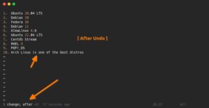 Undo and Redo Text in Vim Editor - TREND OCEANS