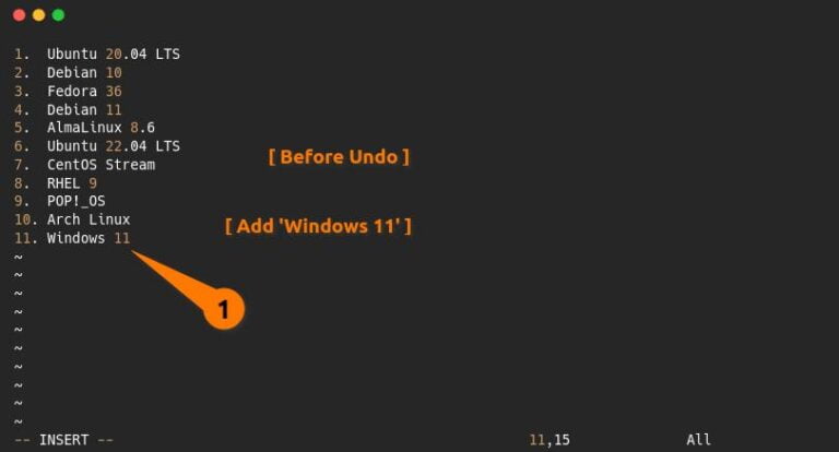 Undo and Redo Text in Vim Editor - TREND OCEANS