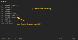Cut, Copy, and Paste in Vim Editor - TREND OCEANS