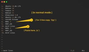 Cut, Copy, and Paste in Vim Editor - TREND OCEANS