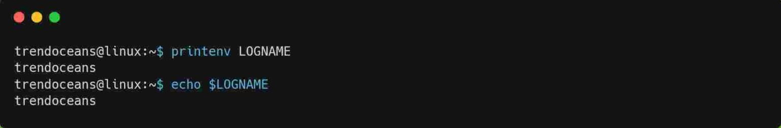 How to Set Environment Variables in Linux - TREND OCEANS