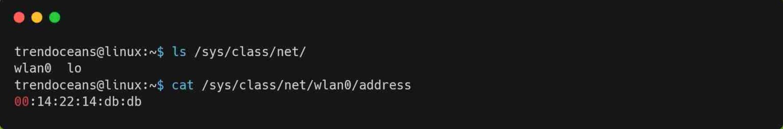 How to Get the MAC Address of a Network Interface Card - TREND OCEANS