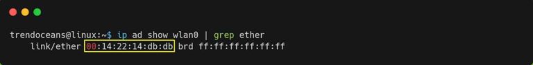 How to Get the MAC Address of a Network Interface Card - TREND OCEANS