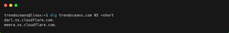How to Install and Use dig and nslookup Commands in Linux - TREND OCEANS