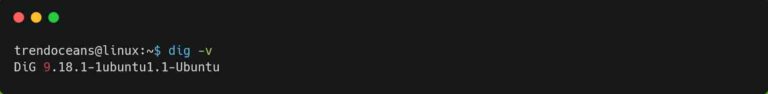 How to Install and Use dig and nslookup Commands in Linux for DNS ...