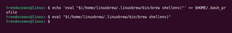 How to Install and Use Homebrew Package Manager on Linux - TREND OCEANS