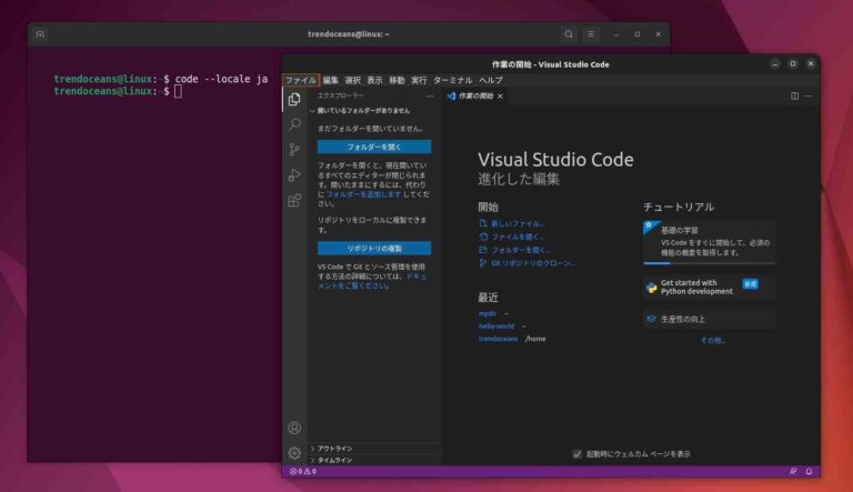 Manage VS Code from Command-Line Interface like a Pro - TREND OCEANS