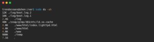How to Find the Total Size of a Directory in Linux - TREND OCEANS