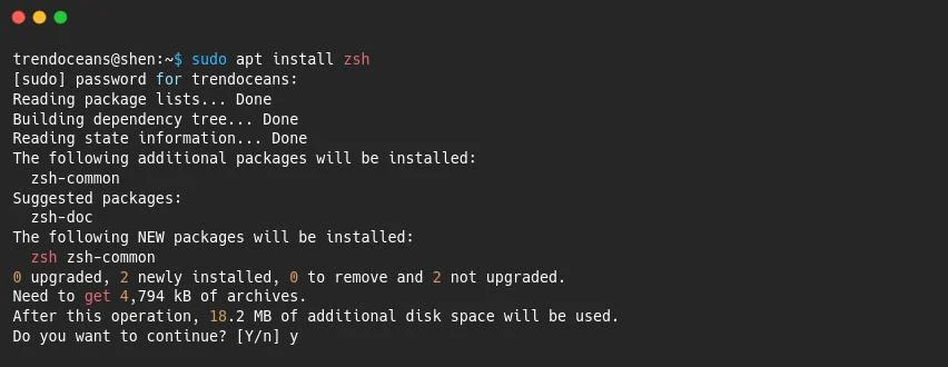 How to Install ZSH Shell along with OhMyZsh and Powerlevel10k on Ubuntu 22.04 - TREND OCEANS