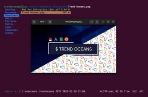 Ranger: Terminal File Manager inspired by VIM for Linux - TREND OCEANS