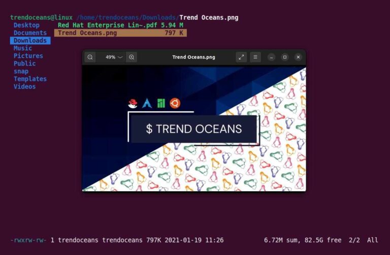 Ranger: Terminal File Manager inspired by VIM for Linux - TREND OCEANS