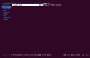 Ranger: Terminal File Manager inspired by VIM for Linux - TREND OCEANS