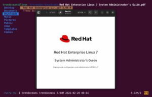 Ranger: Terminal File Manager inspired by VIM for Linux - TREND OCEANS