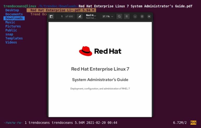 Ranger: Terminal File Manager inspired by VIM for Linux - TREND OCEANS