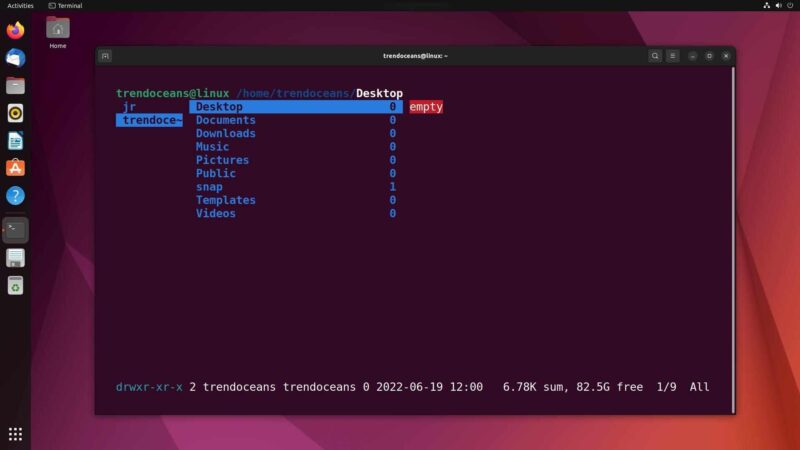 Ranger: Terminal File Manager inspired by VIM for Linux - TREND OCEANS