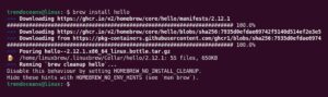 How to Install and Use Homebrew Package Manager on Linux - TREND OCEANS