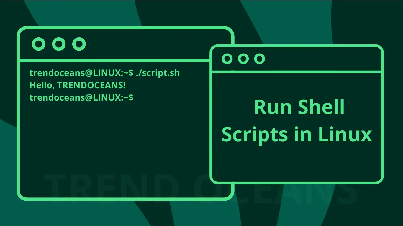 How To Run Shell Scripts In Linux with Detailed Explanation For