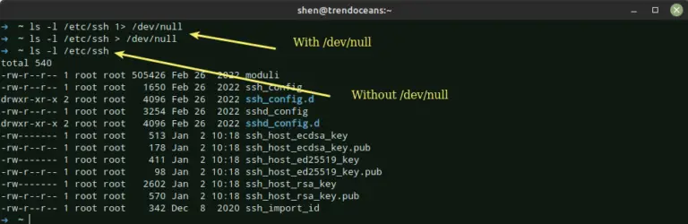 Silencing the Noise: A Guide to Redirecting Output to /dev/null in Linux - TREND OCEANS