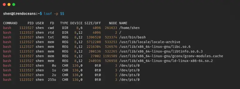 How to List all Open File Descriptors - TREND OCEANS