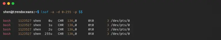 How to List all Open File Descriptors - TREND OCEANS
