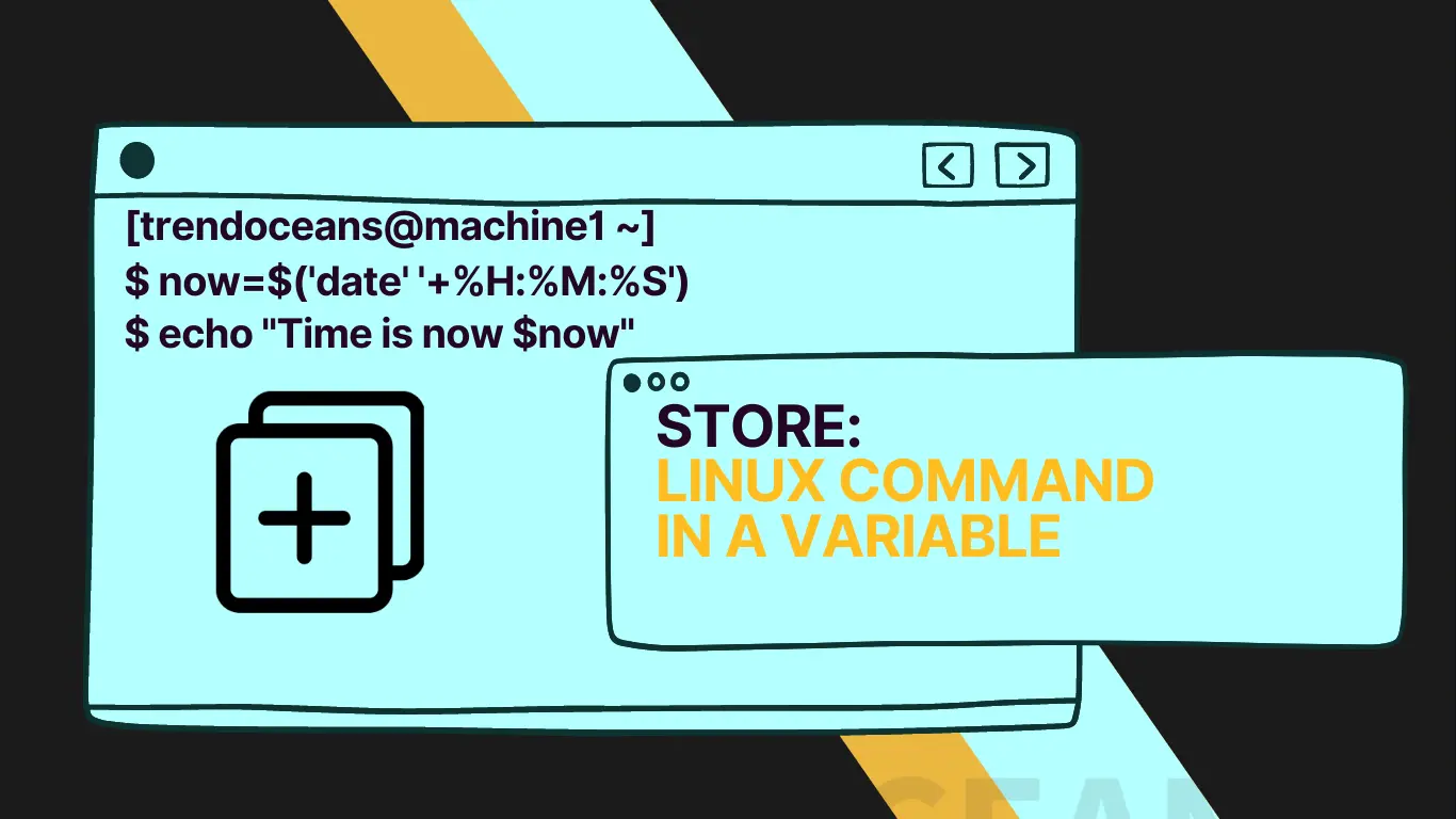 How To Store Or Assign A Linux Command In A Variable In Bash Shell