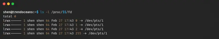 How to List all Open File Descriptors - TREND OCEANS