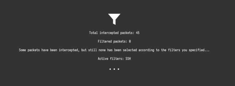 Sniffnet: Application to Comfortably Monitor your Network Traffic ...