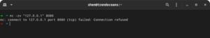 How to Check if a Port is Blocked by the Firewall in Ubuntu - TREND OCEANS